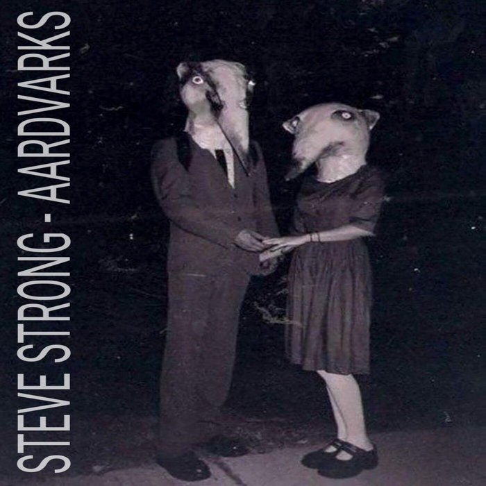 Steve Strong - Aardvarks | Steve Strong