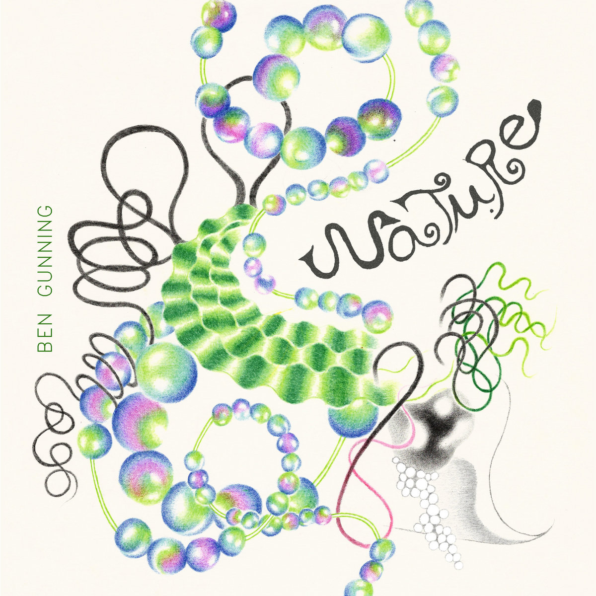 Contour Rivalry | Ben Gunning | BEN GUNNING