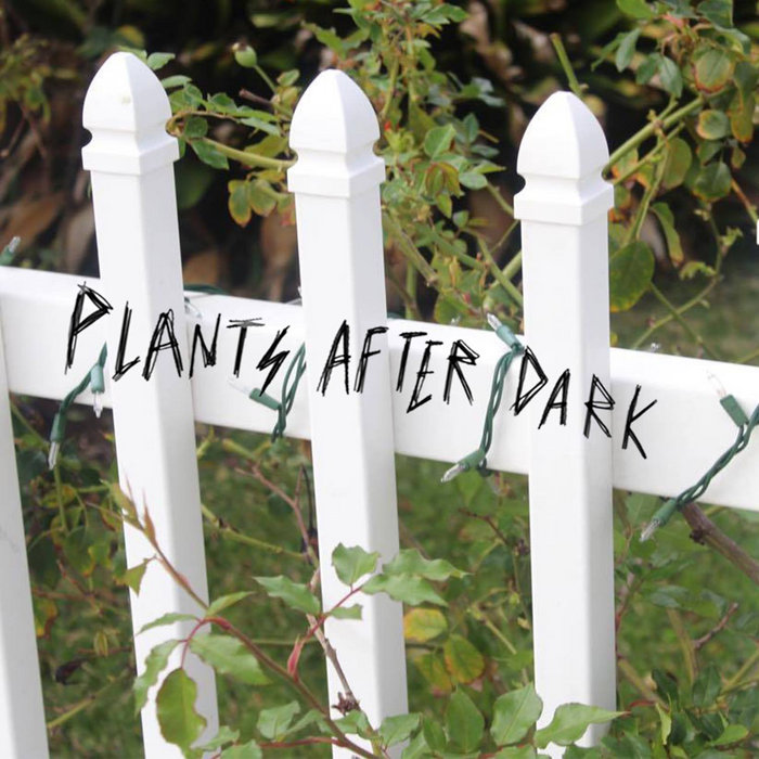 Plants After Dark | Plants After Dark