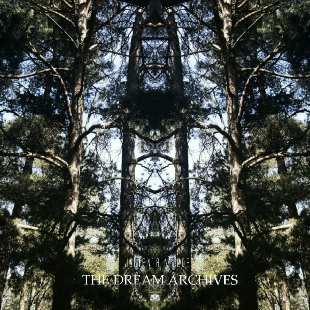 THE DREAM ARCHIVES | Julien H Mulder