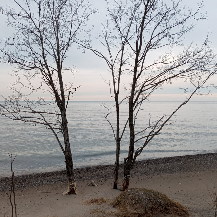 Very Vary | Image Over Being