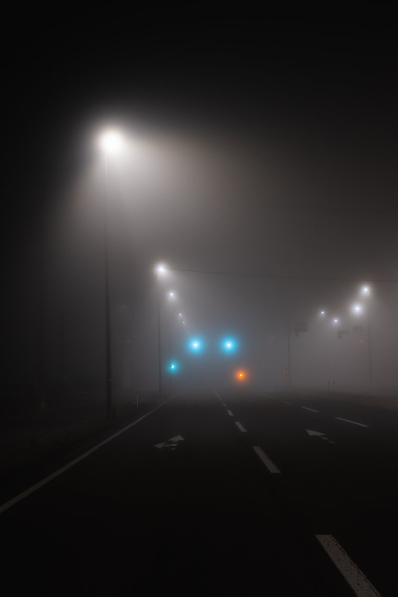 Lights Left On (Album) | If We Go At All