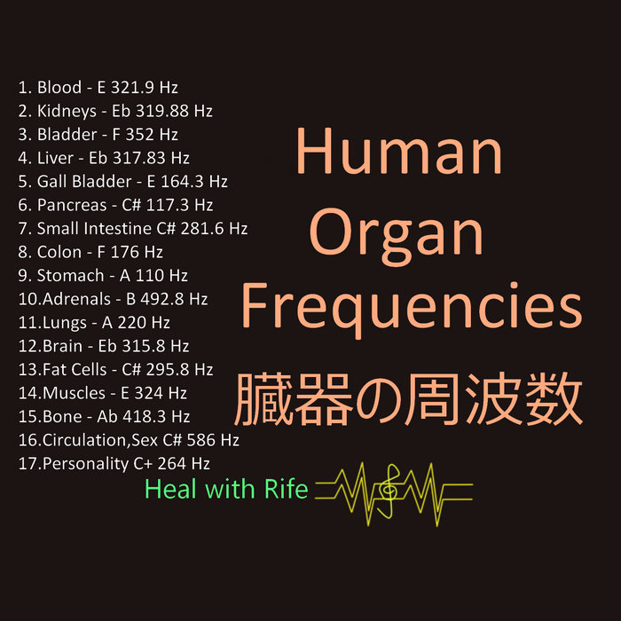 Human Organ frequencies 臓器の周波数 | Heal with Rife