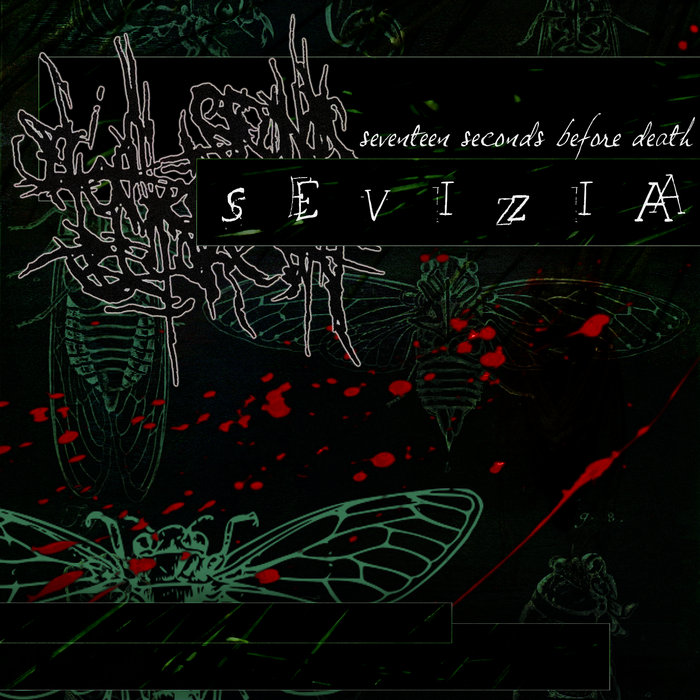 Sevizia | Seventeen Seconds Before Death