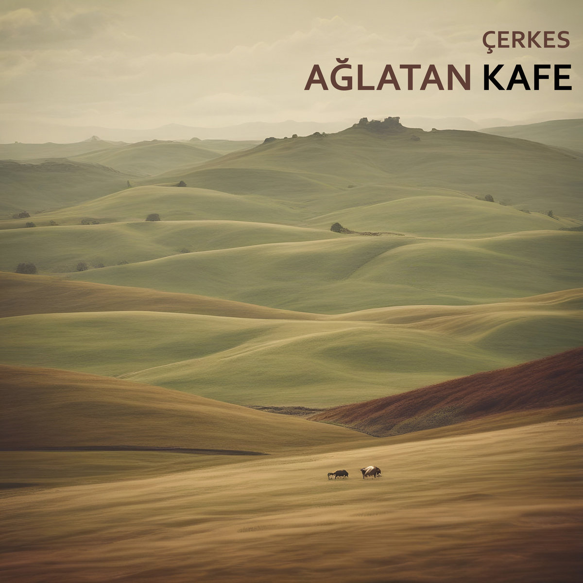 Aglatan Kafe - Çerkes (Live) | Gofret | Arsivplak