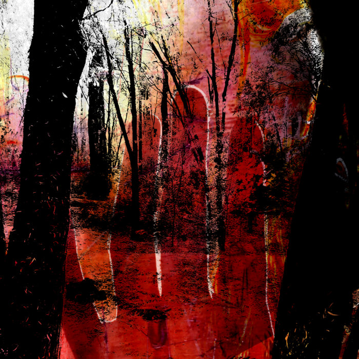 2 and a half hells | PHASMIDIA
