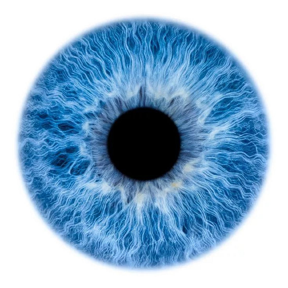 U-People - Freedom (Original mix) | VA | JT House Box