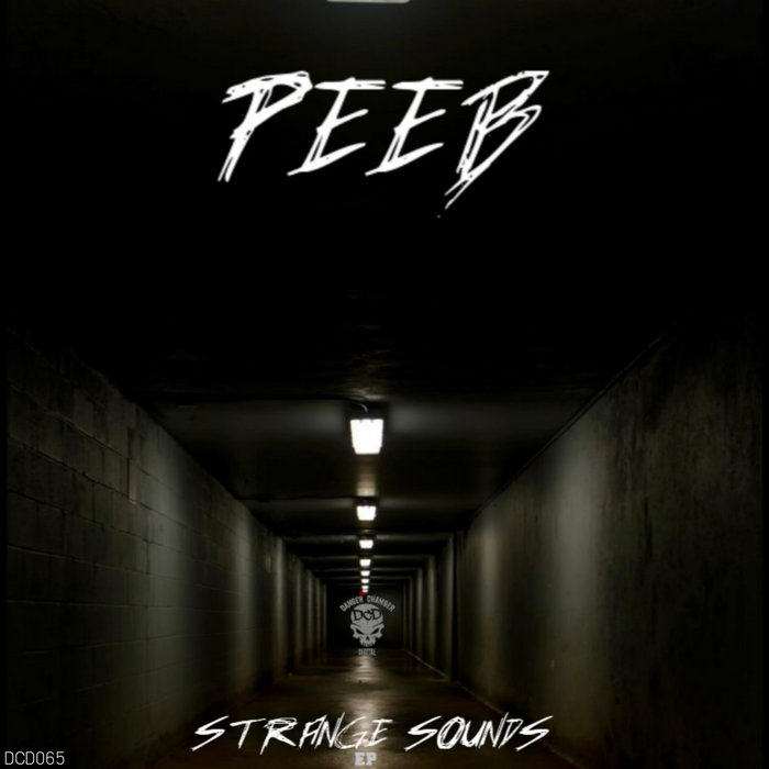Strange Sounds EP | Peeb | Danger Chamber Digital