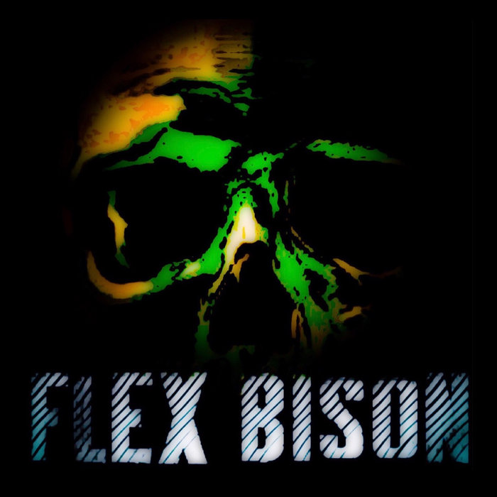 Heavy Rock And Roll Vol. 1 | Flex Bison