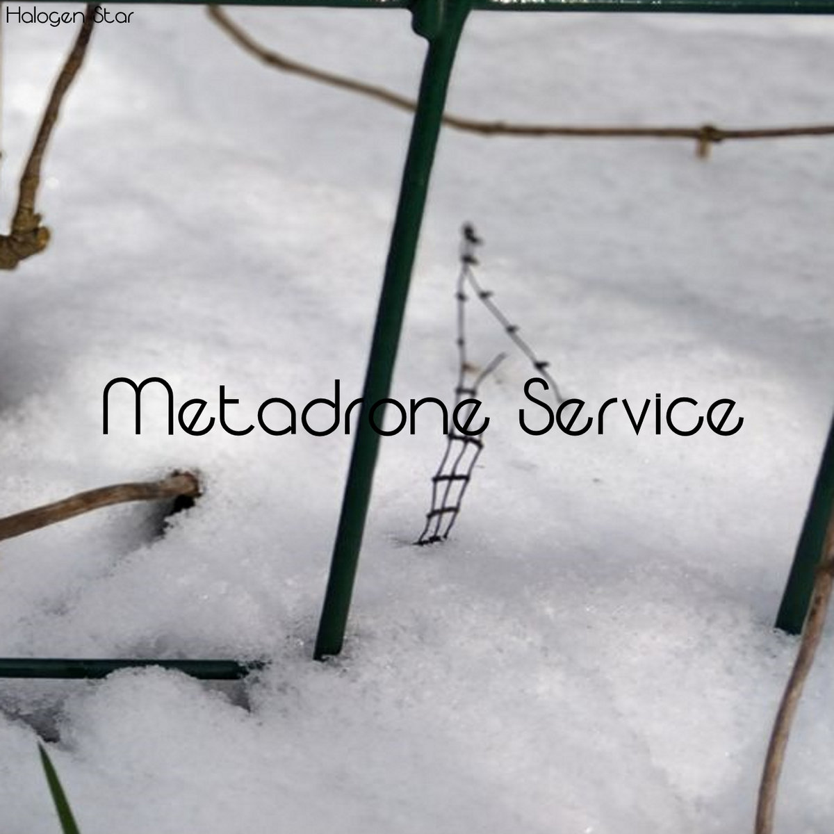 Metadrone Service | Halogen Star