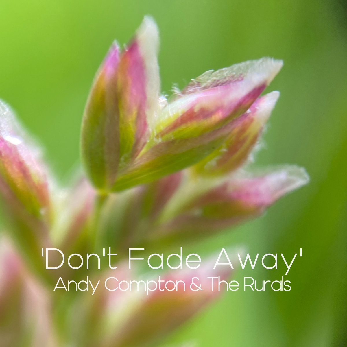 Don't Fade Away EP | Andy Compton