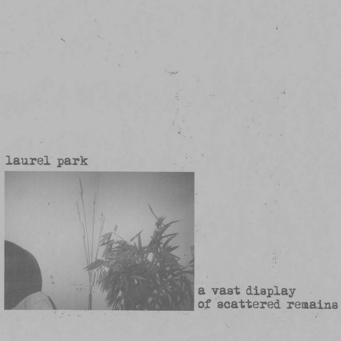 A Vast Display of Scattered Remains | Laurel Park