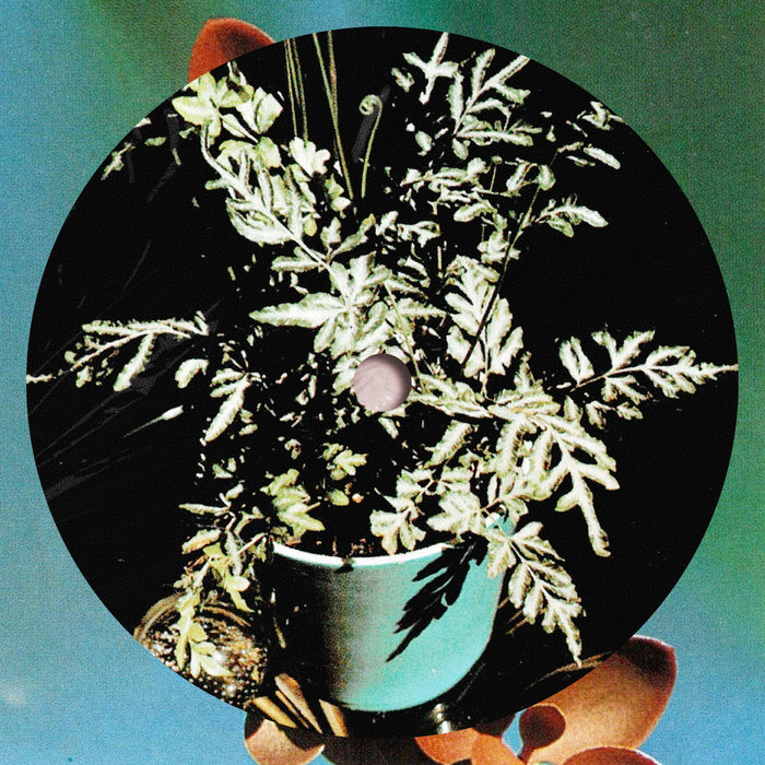 Working Nights | Liquid Time