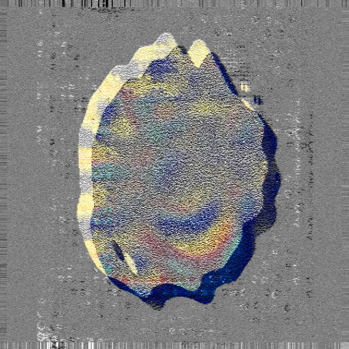 Sapiens | Quiet Kevin