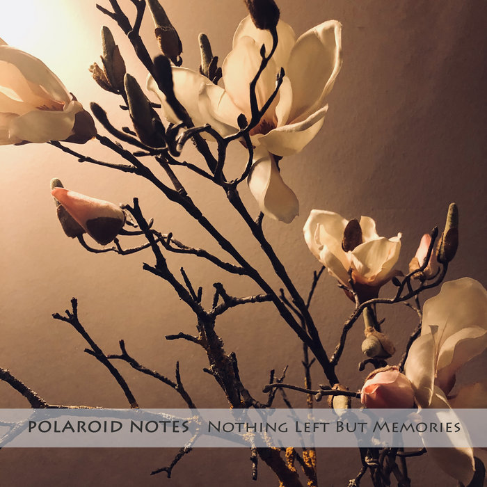 Nothing Left But Memories | Polaroid Notes