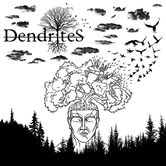 Dendrites | Dendrites