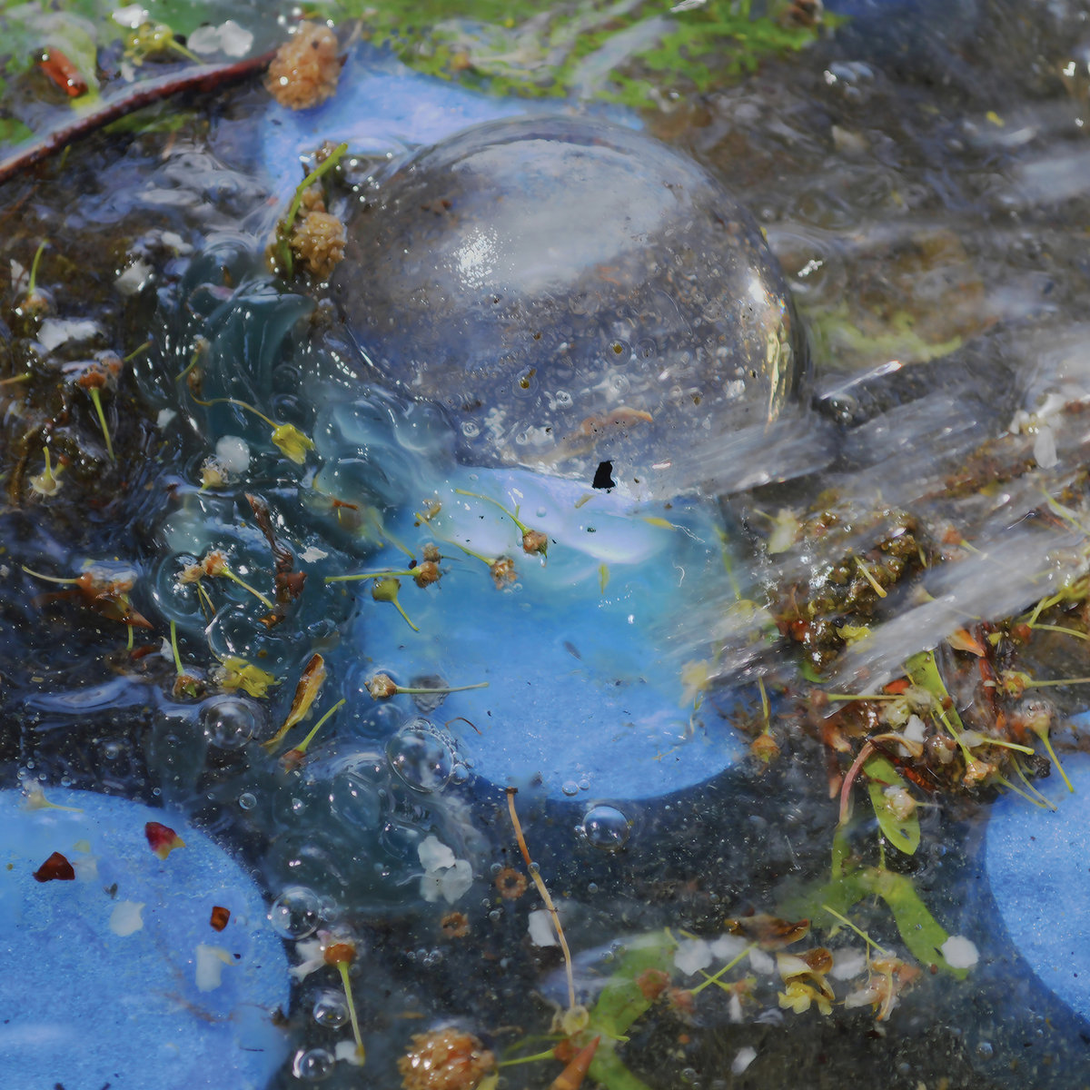 Somaesthesia | PVAS | Isla