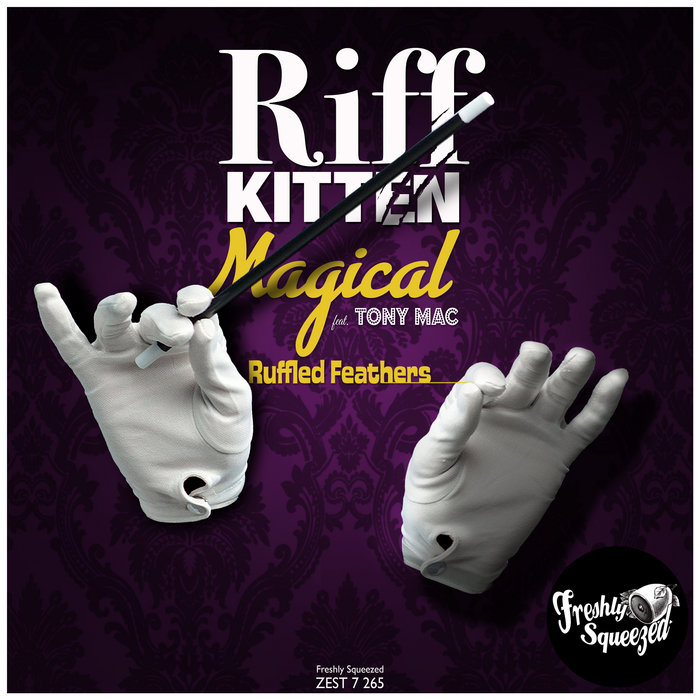 Magical | Riff Kitten