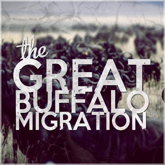 The Great Buffalo Migration | The Great Buffalo Migration