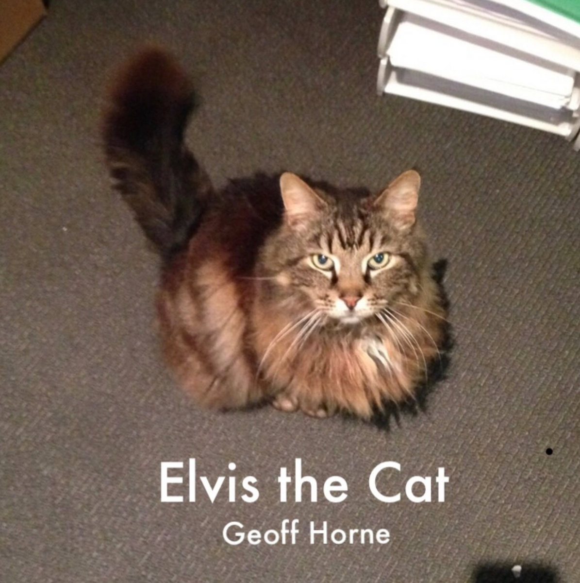 Elvis the Cat | Geoff Horne