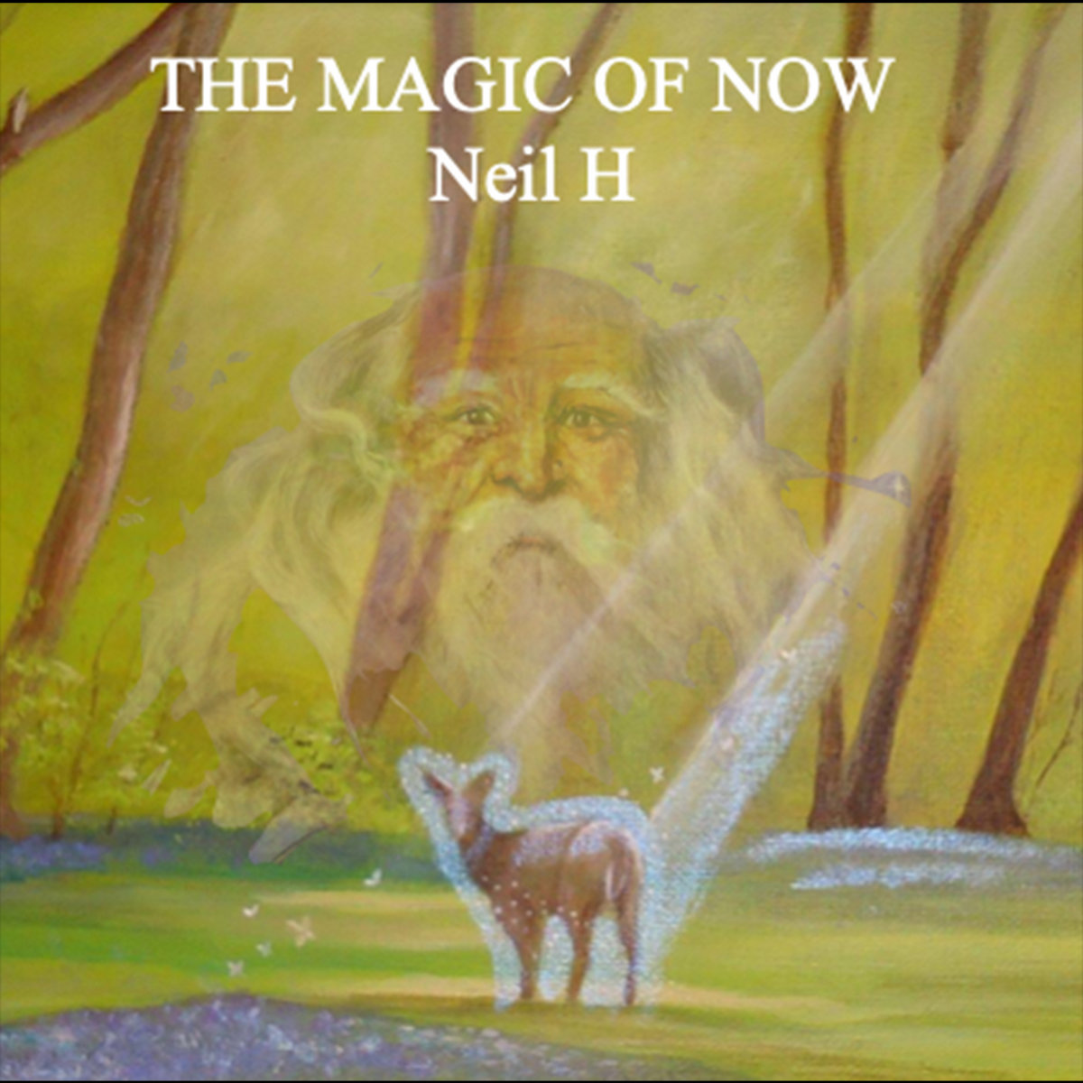 The Magic of Now | Neil H | Neil H Official