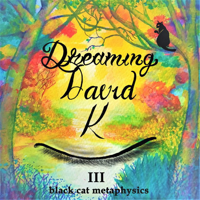 black cat metaphysics | Dreaming David K