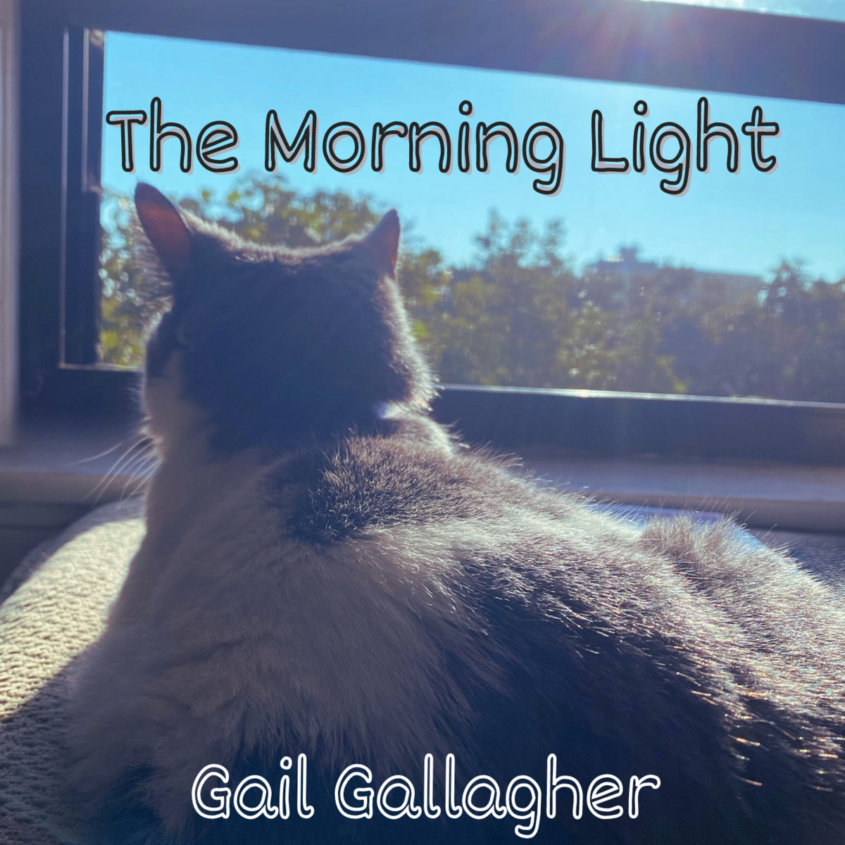 The Morning Light | Gail Gallagher