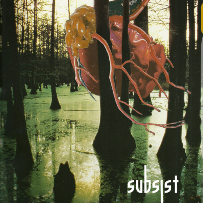 SUBSIST.61D - Reverse Engineering of Obfuscation | Cyd | Subsist ...