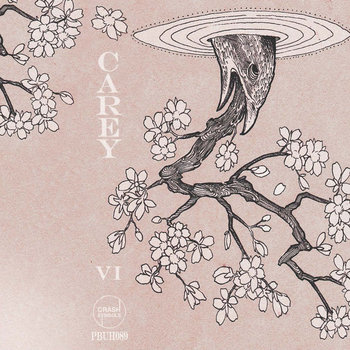 Music | Crash Symbols