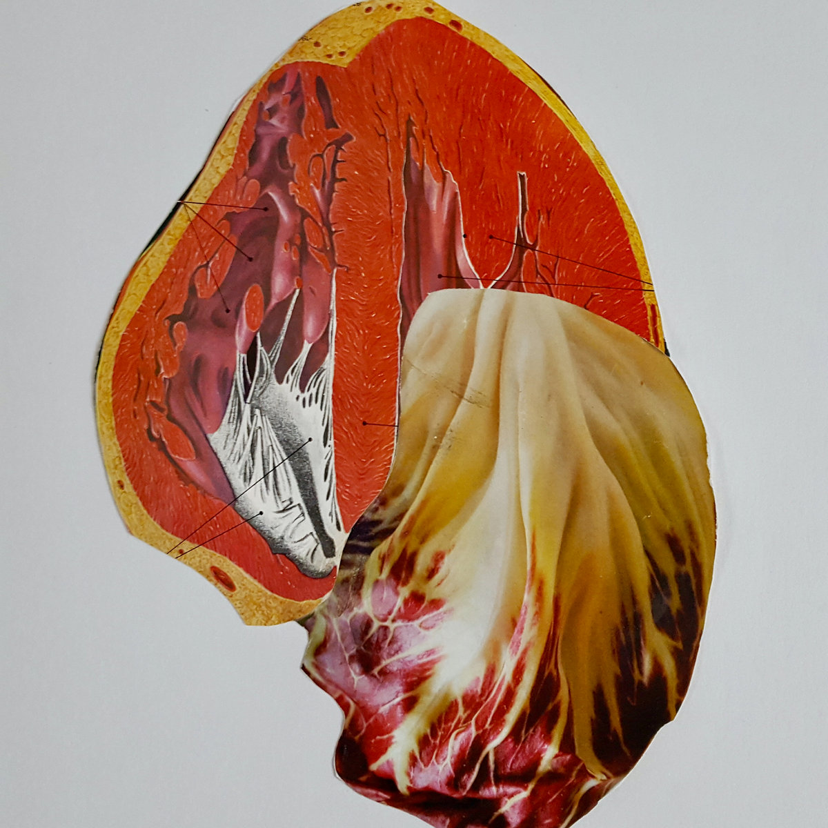 Ren Bin | Atsuko Hatano