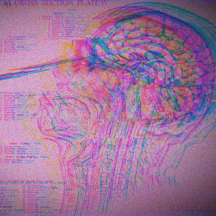 lobotomizer | v01dere