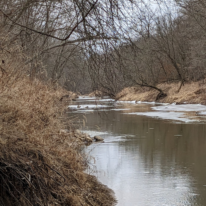 Peoria | Regina Miller