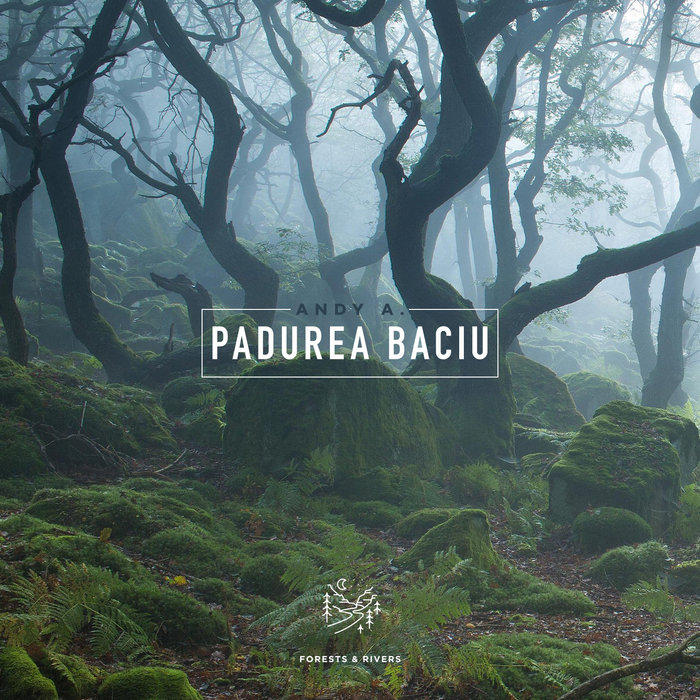 Padurea Baciu | Andy A. | Forests & Rivers