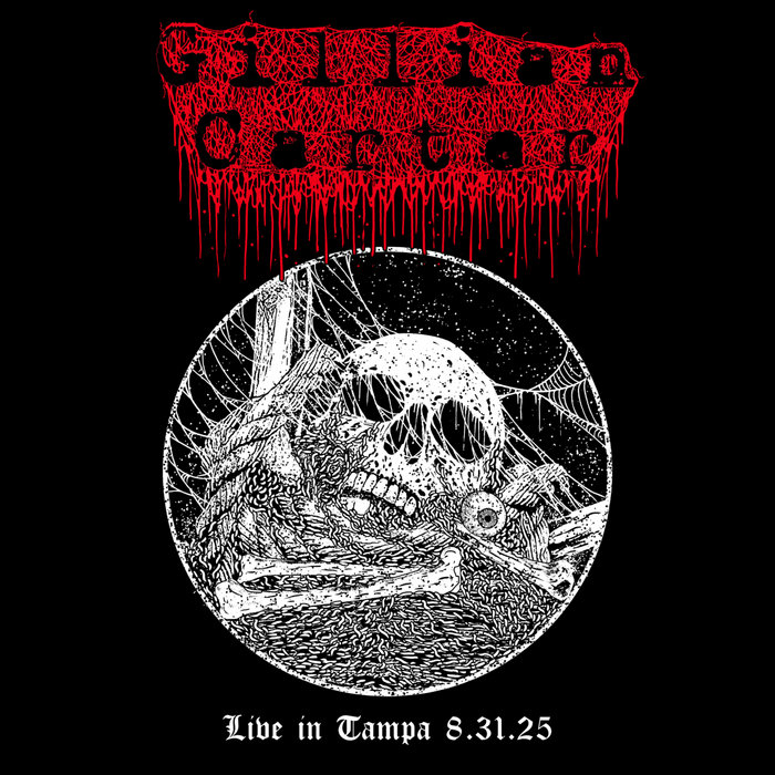 Live in Tampa, FL 8/31/2025 | Gillian Carter