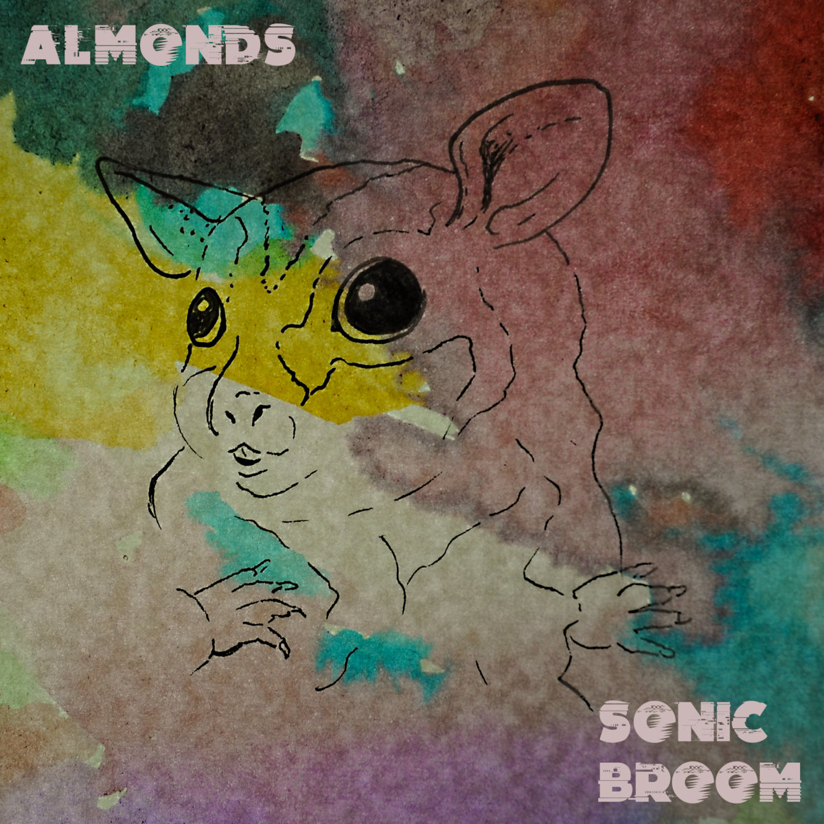 Sonic Broom | Almonds