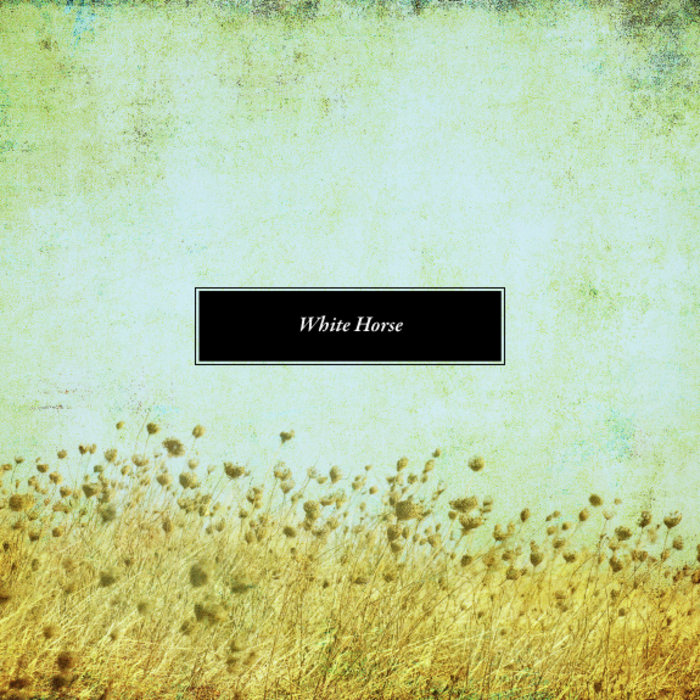 White Horse | Shawn Strub