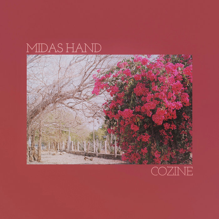 Midas Hand | Cozine