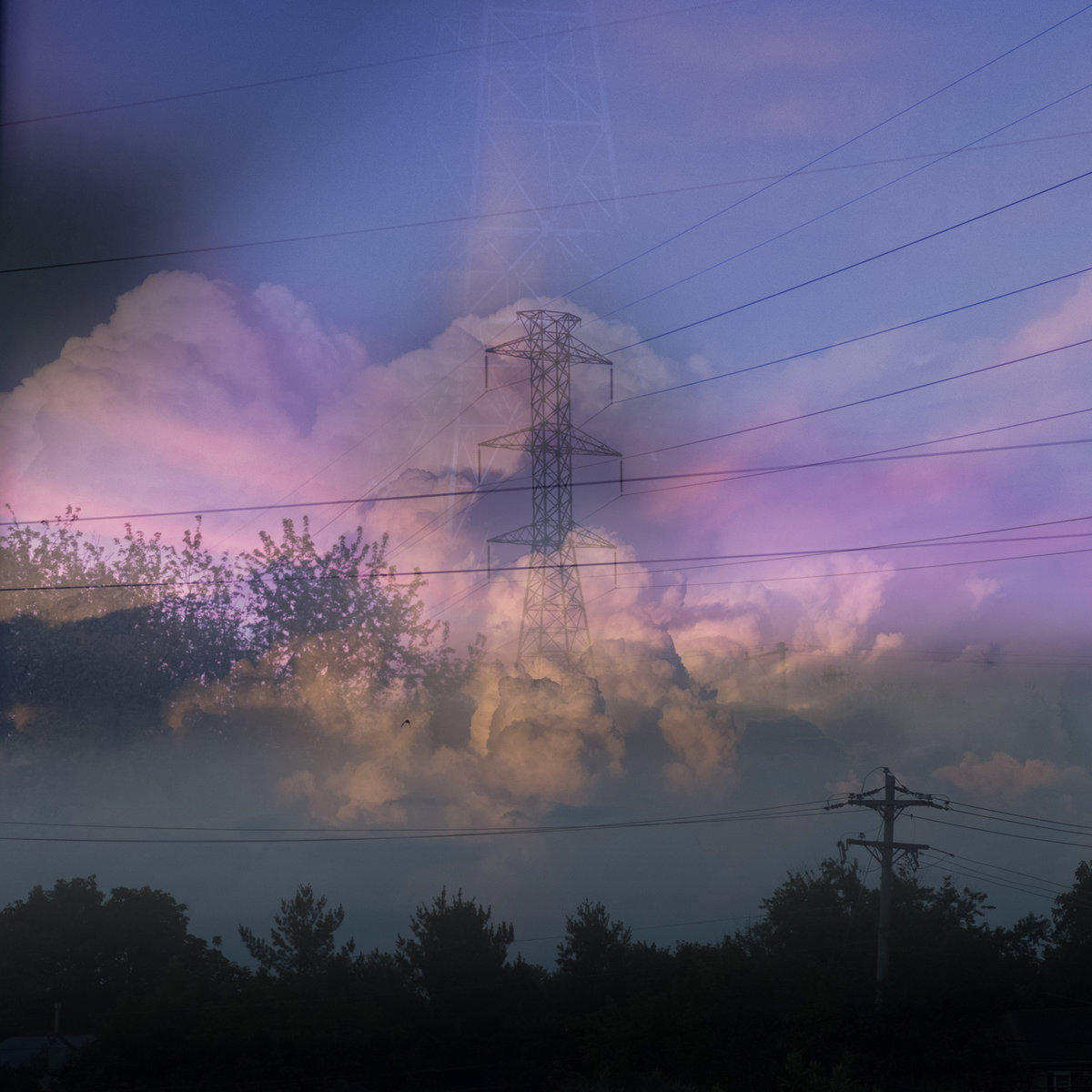 Forgot | Goodbye Max