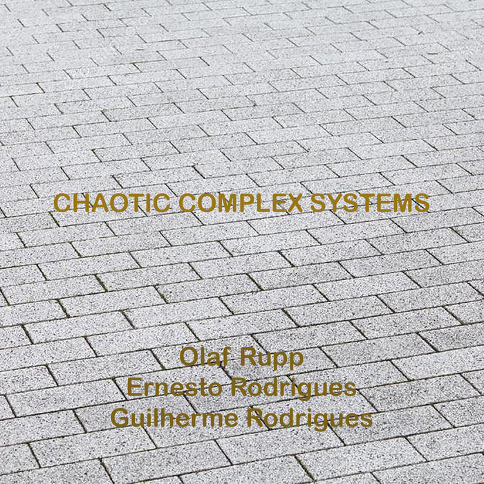 Chaotic Complex Systems | Olaf Rupp, Ernesto Rodrigues & Guilherme ...