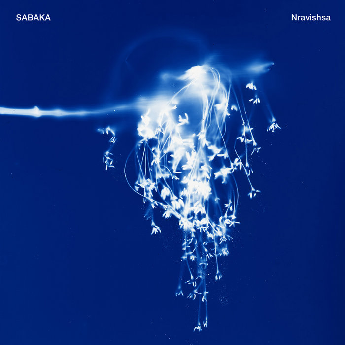 Nravishsa | Sabaka
