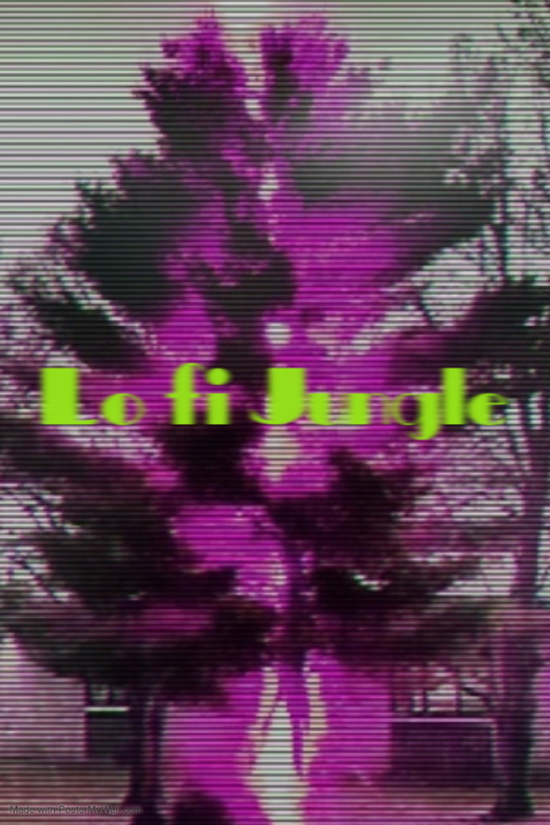 Lo Fi Jungle | Dream Thresh