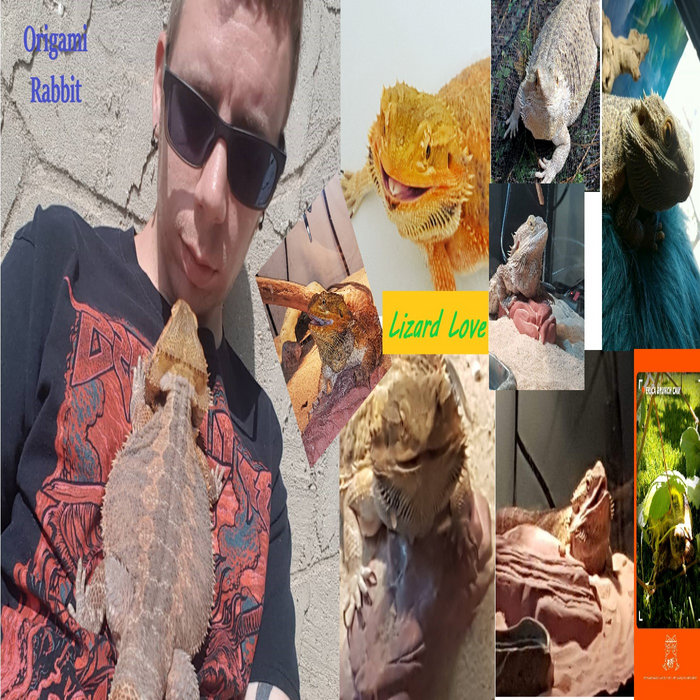 Lizard Love | Origami Rabbit