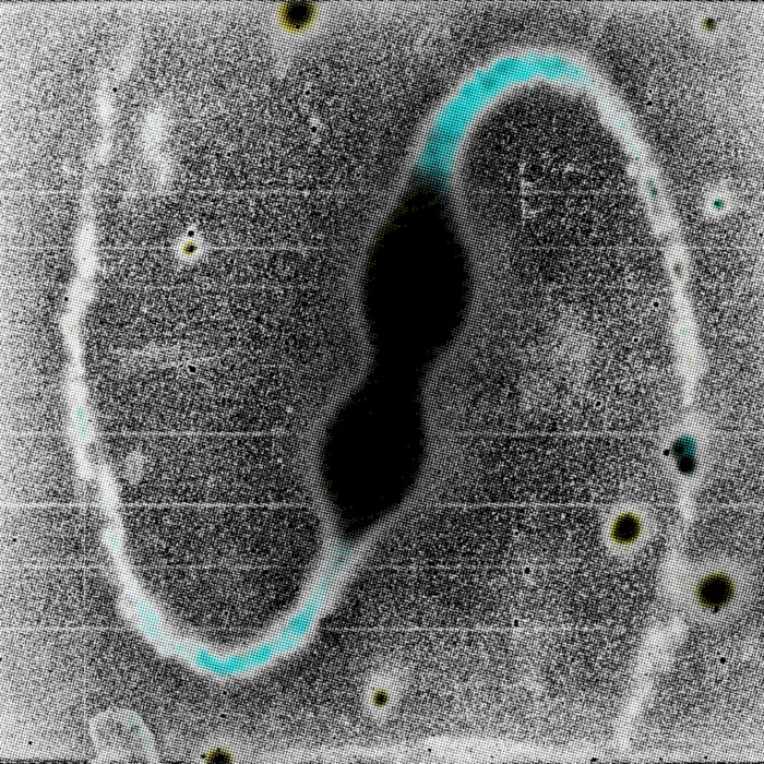 Contact (Remastered) | Void Ant