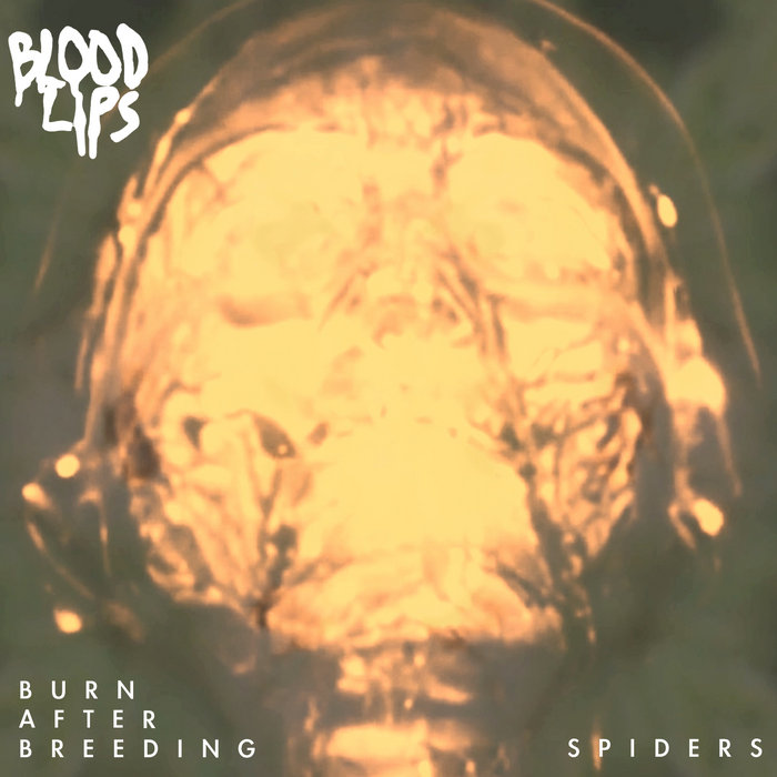 Burn After Breeding / Spiders | Blood Lips