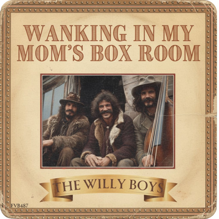Wanking in my Mom’s Box Room | The Willy Boys | Forgotten Vinyl Bangers