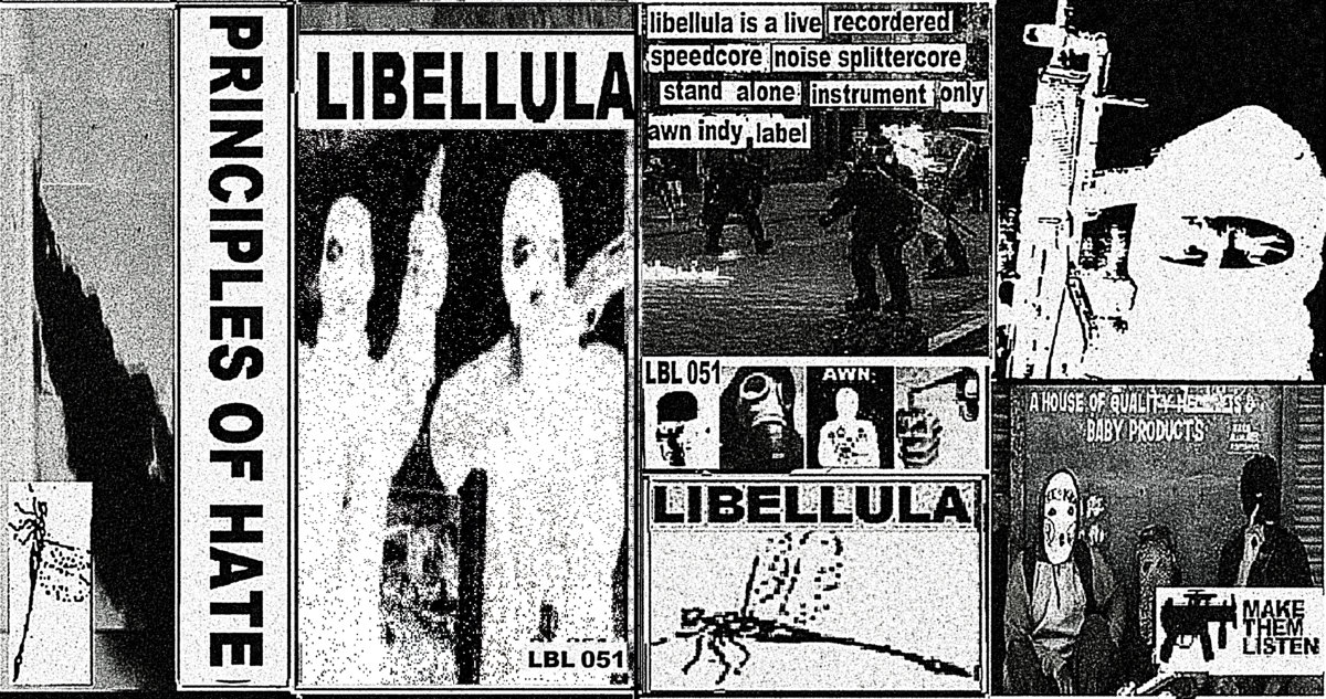 principles of hate | libellula | angry with noise