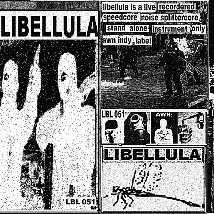 principles of hate | libellula | angry with noise
