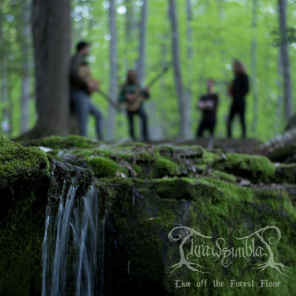 Album covers with musicians posing around leafy trees | Page 10 | Steve ...