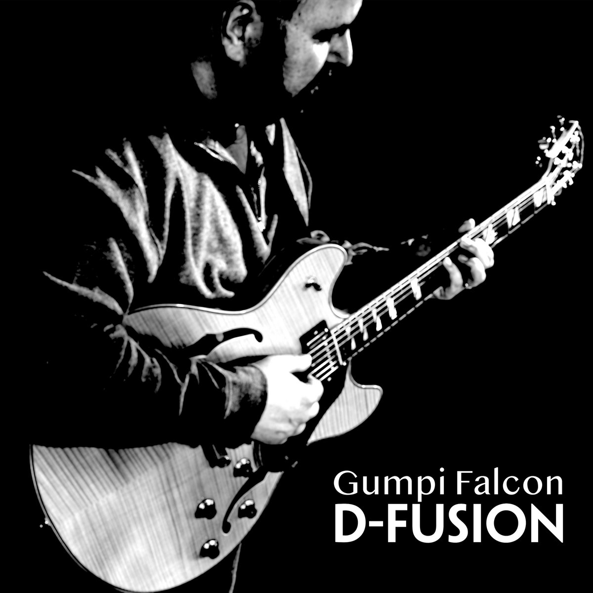 Gumpi Falcon: D-fusion | Gumpi Falcon