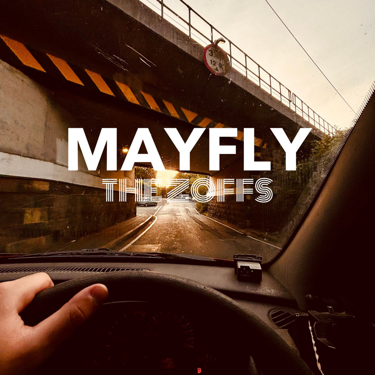 Mayfly | The Zoffs